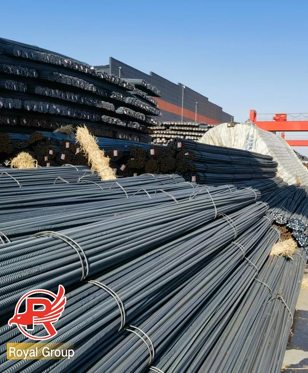 News - Royal Group: Your Ultimate Destination for Premium Carbon Steel ...